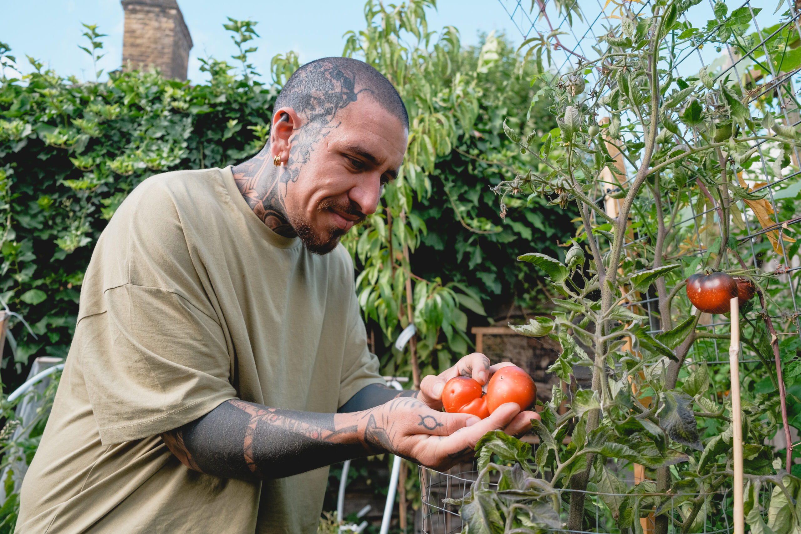 Alessandro Vitale - Earthed