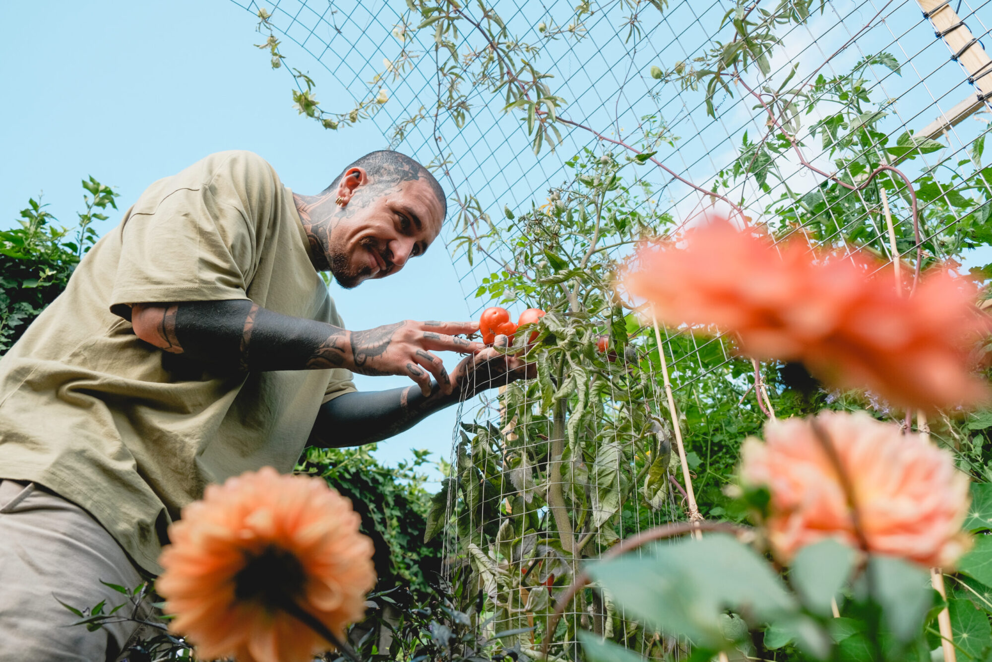 Learn to Grow your Nature Skills with Earthed