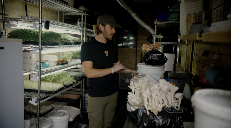 Learn to Grow your Nature Skills with Earthed