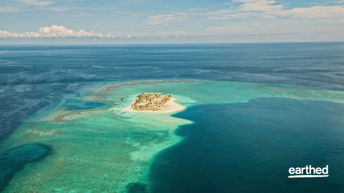 Everything you need to know about Ecosystem Restoration • Earthed