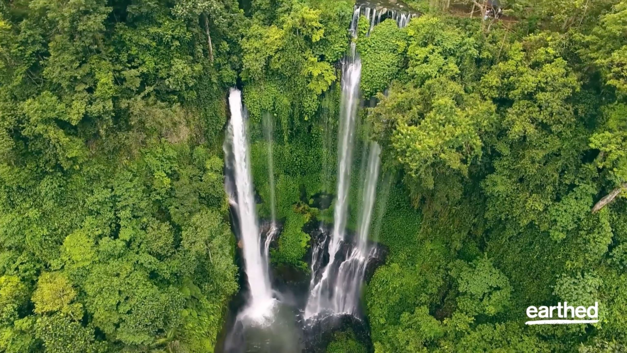 Everything you need to know about Ecosystem Restoration • Earthed