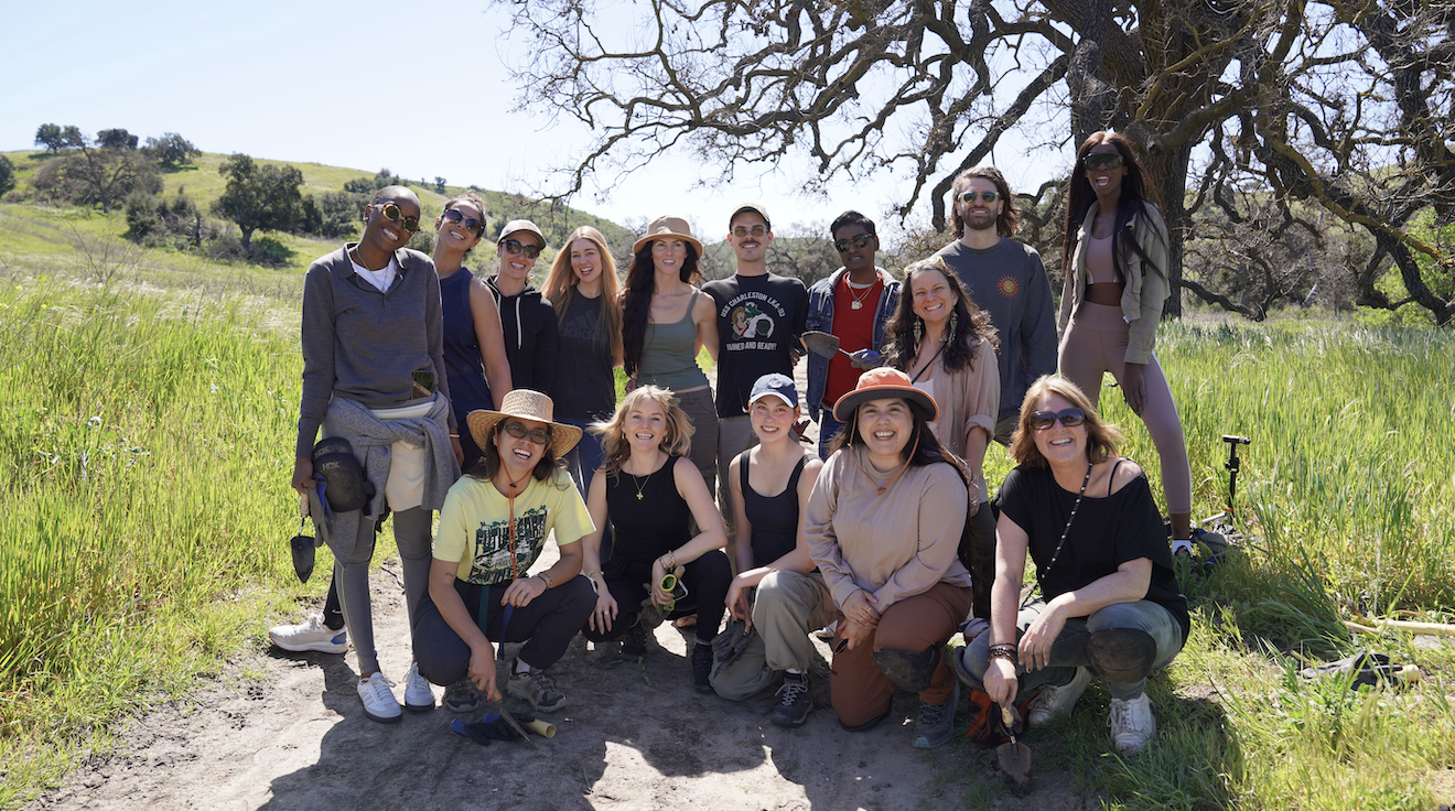 The Promise of an Acorn • Earthed