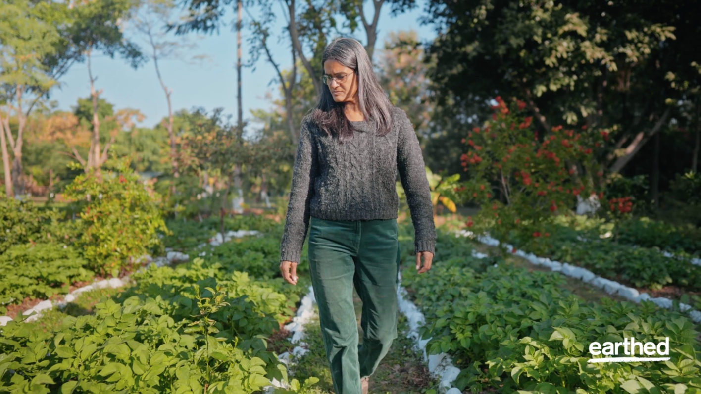 What is Permaculture? • Earthed