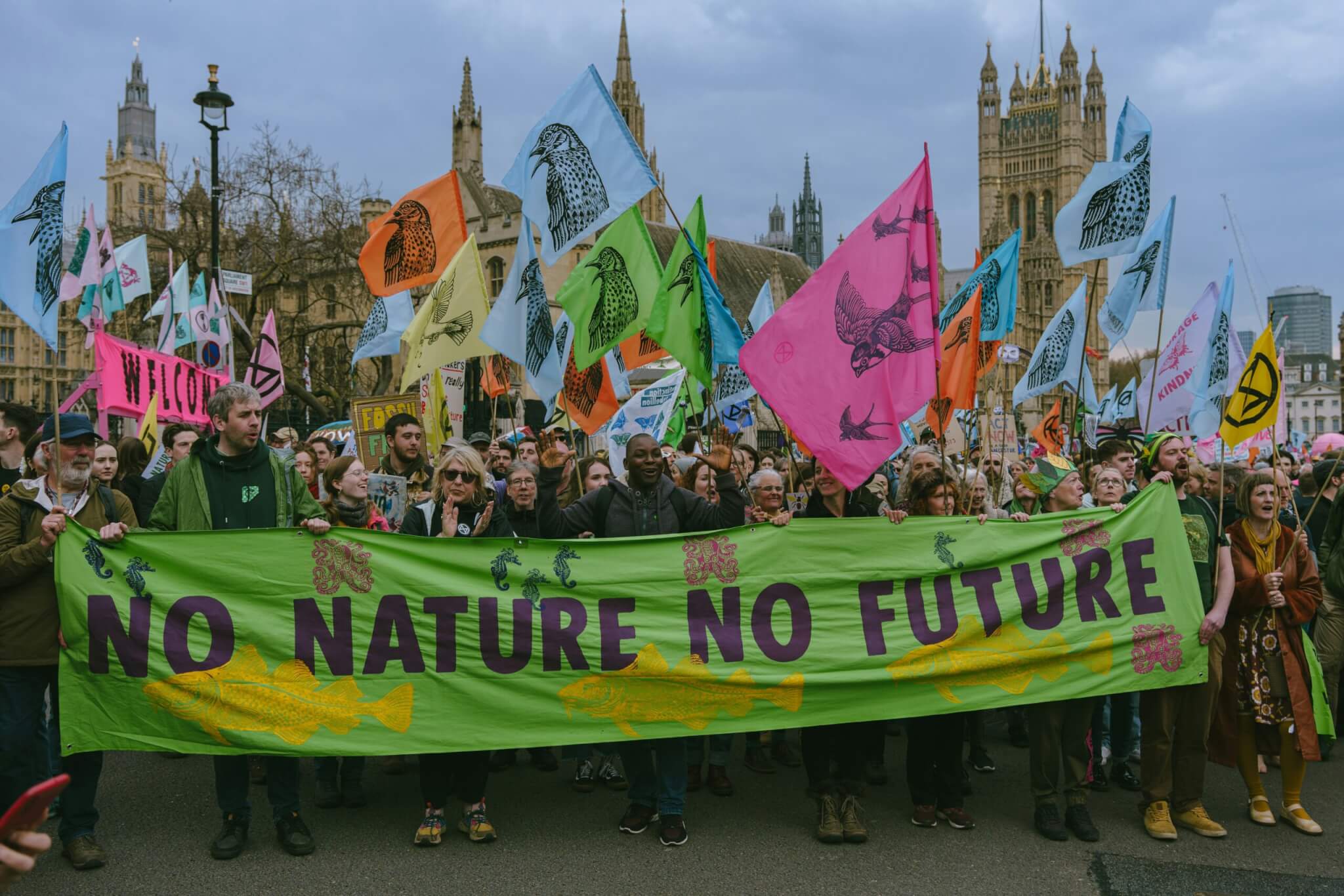 Restore Nature Now: The Essential Role of Protest in Nature Restoration ...