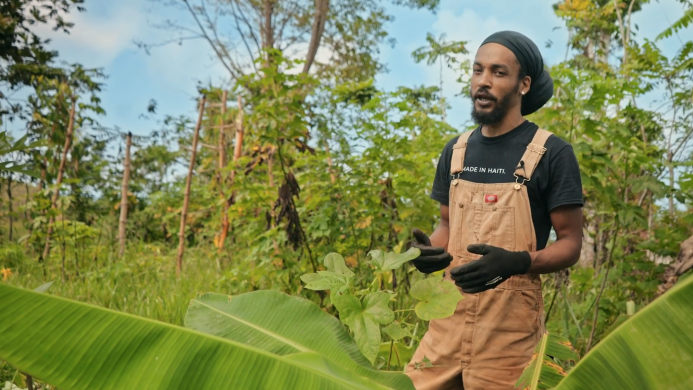 Ecosystem Restoration: Three Pathways to Bring Nature Back • Earthed