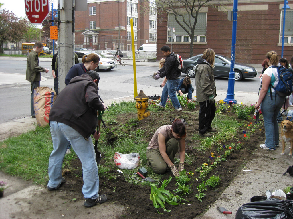 What Is Guerrilla Gardening? A Concise Guide. • Earthed