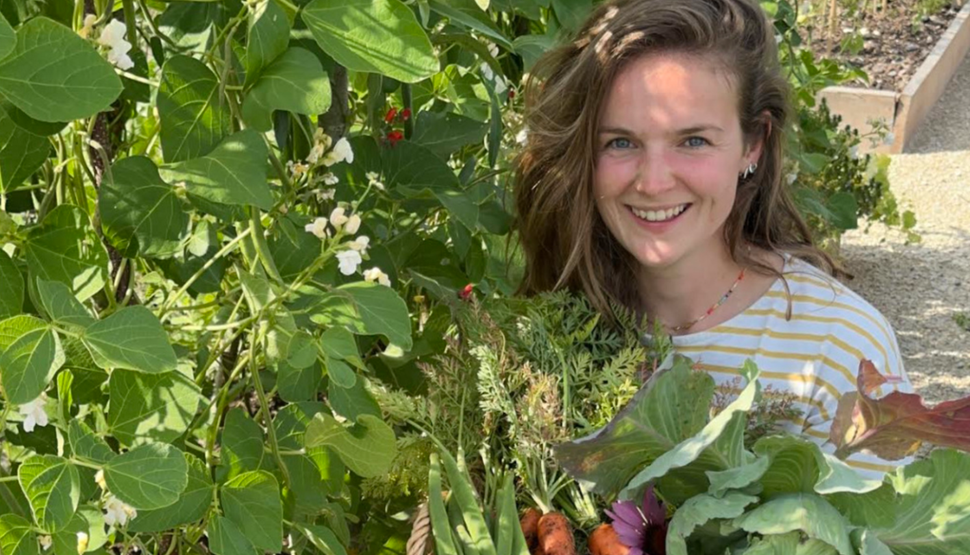 Bees To A Flower: Learning to Grow Food Alongside a Full-time Job with ...