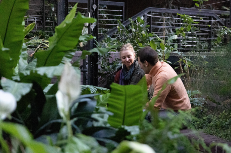 How Prescribing Nature Transforms Mental Health • Earthed